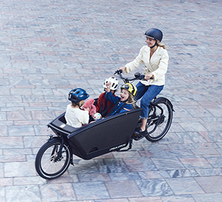 Urban Arrow - Manualise